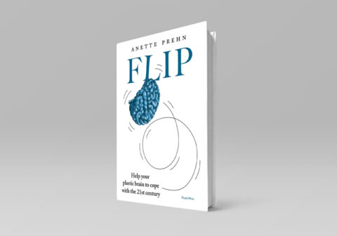 Framestorm - Brainsmart